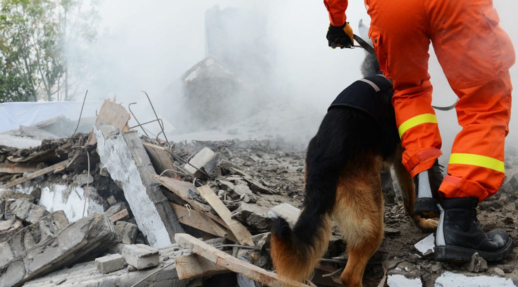 earthquake awareness | American Modern Insurance Group